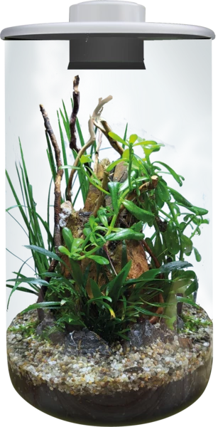 Bio Art Bio Art Terrario Cylinder 285 Blanco – LITTLE TREE DESIGN BIOTOPES