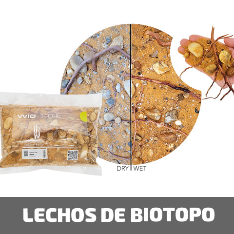 BIOTOPE BEDS – LITTLE TREE DESIGN BIOTOPES