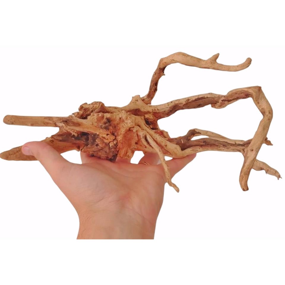 RED MOOR WOOD – LITTLE TREE DESIGN BIOTOPES