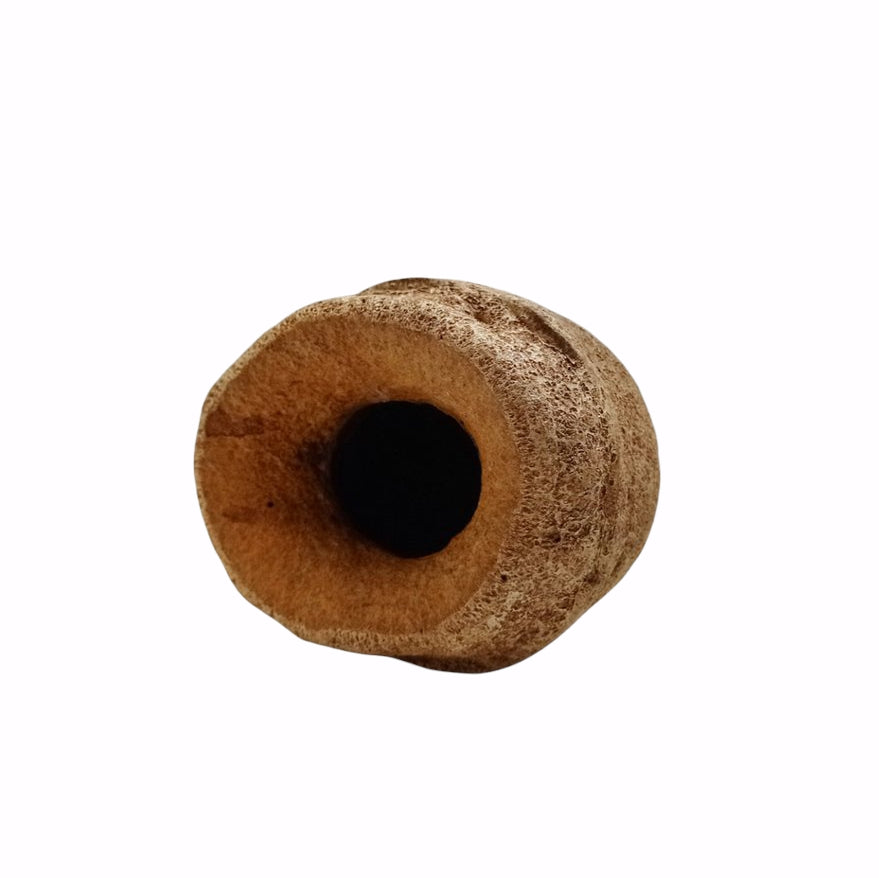 SAPUCAIA POD – LITTLE TREE DESIGN BIOTOPES